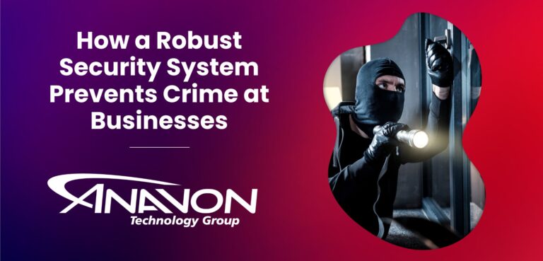 How a Robust Security System Prevents Crime | Anavon Technology Group